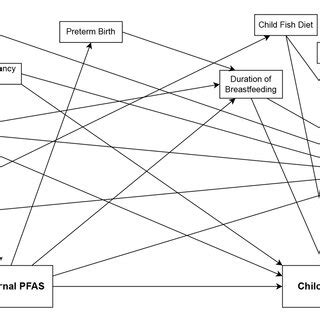 Directed Acyclic Graph DAG Presentation Of Hypothesized Paths Download Scientific Diagram
