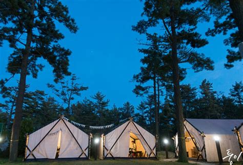 협재해수욕장 맛집 정말 여기서 구워먹는거야 네이버 블로그