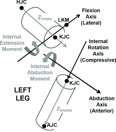 Floating Axis Knee Joint Coordinate System Angle And Force Axes Are