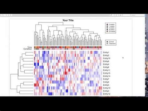 How To Make An R Heatmap With Annotations And Legend Youtube Annotation Legend Thank You
