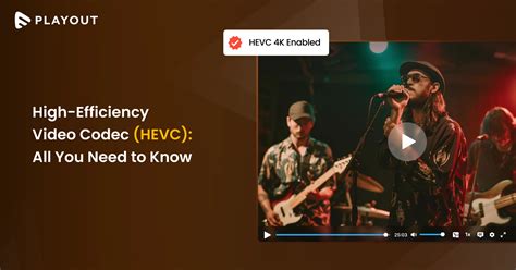 H 265 Codec All You Need To Know Muvi One