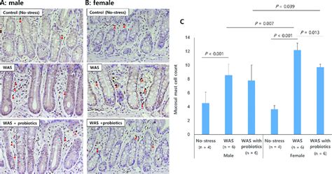 Number Of Mucosal Mast Cells Detected After Anti Mast Cell Tryptase