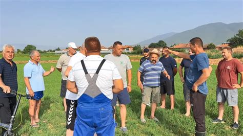 Оризовите ниви во Кочанско поле оставени без вода земјоделците протестираат