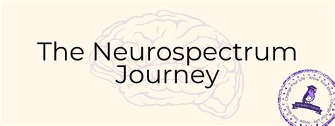 Discover Your Neurotype With The Neurospectrum Journey