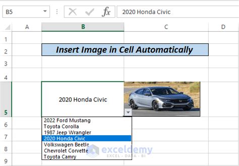 How To Insert A Picture In A Cell Automatically 3 Methods Exceldemy