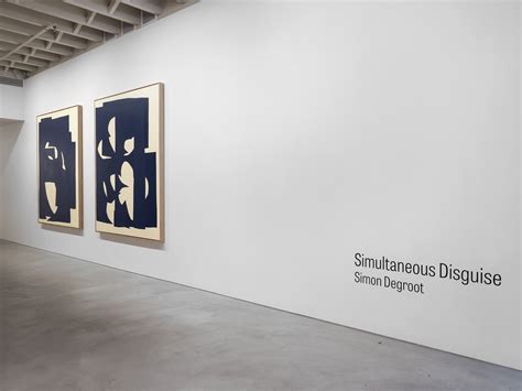Exhibition Simultaneous Disguise 2022 Jan Manton Gallery — Simon Degroot