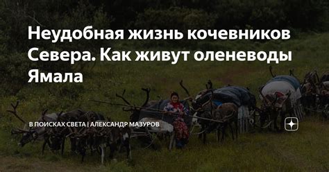 Неудобная жизнь кочевников Севера Как живут оленеводы Ямала В поисках света Александр