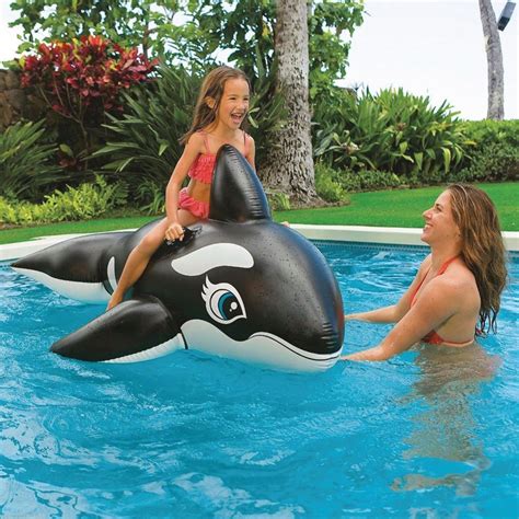 Intex Whale Ride On Inflatable Pool Float Intex Singapore