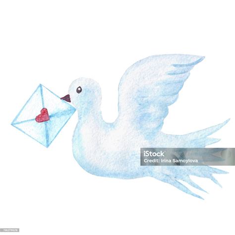 수채화 화이트 비둘기 편지 사랑 빨간 마음 봉투 새 발렌타인 데이 결혼식 개념에 대한 스톡 벡터 아트 및 기타 이미지 개념 결혼식 귀여운 Istock