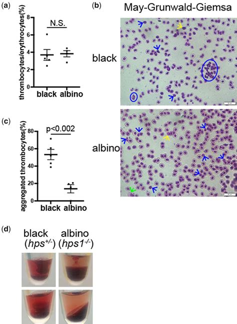 Reduced Aggregation Activity Of Albino Thrombocytes A The Percentages Download Scientific