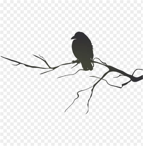 Raven Clipart