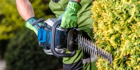 Tree Trimming Harrisburg PA Tree Cutting Services