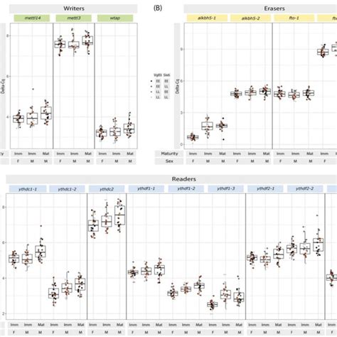 Overall Mrna Expression Level Of The M 6 A Rna Modification Regulators Download Scientific