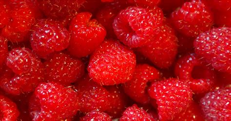 Benefits Of Raspberry 16 Amazing Health Benefits You Must Know