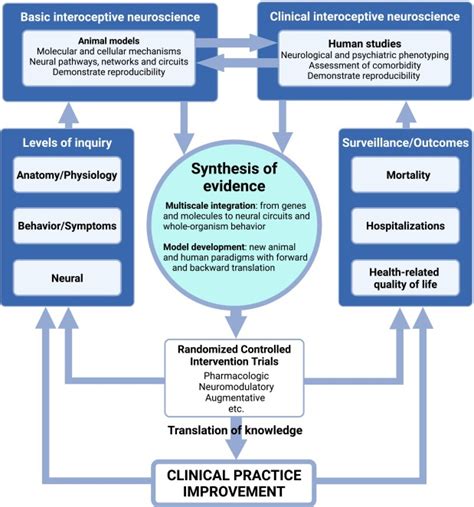 Interoception In Parkinsons Disease A Narrative Review And Framework For Translational