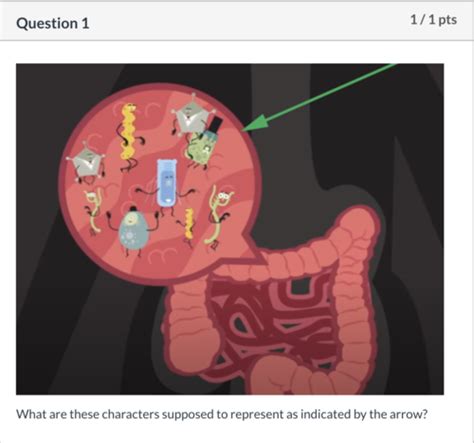 Physio Ch 16 Lab Quiz Flashcards Quizlet