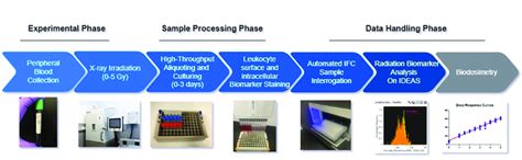 high throughput ex vivo assay for protein biomarker detection in human