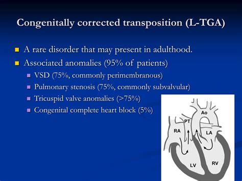 Ppt Transposition Of The Great Arteries Powerpoint Presentation Free Download Id 4635111