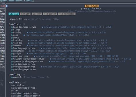 Packages Doesnt Install Or Uninstall · Issue 987 · Mason Orgmasonnvim · Github