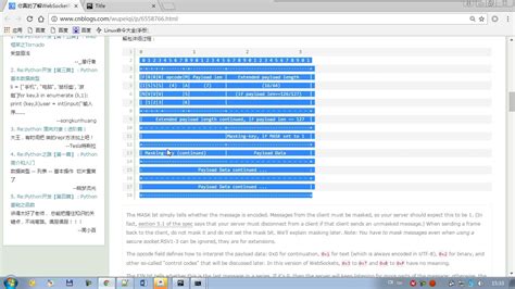 05 Python 全栈三期 Day101 Websocket数据解析过程 Youtube