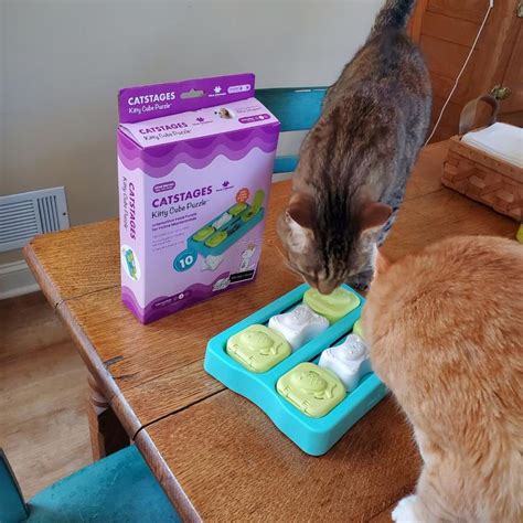Catstages Interactive Kitty Cube And Treat Puzzle Toy