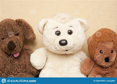 Three Cute Soft Cuddly Plush Toy Bears Stock Image Image Of Bears
