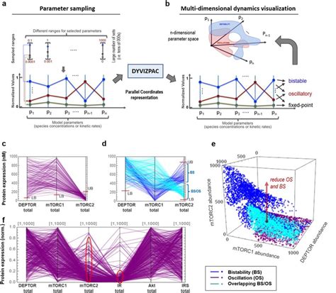 Multi Dimensional Analysis And Visualisation Of Network Dynamics A B Download Scientific