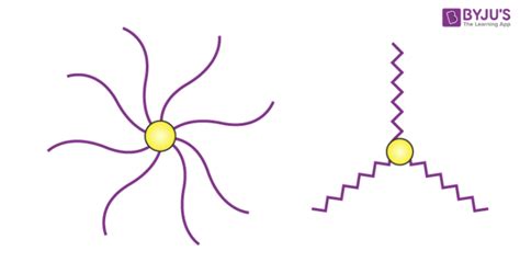 Copolymer Definition Types Of Copolymerization Examples