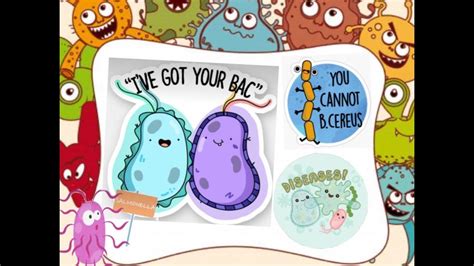 Bacteria And Viruses Igcse Biology Revision Biology With Nash Youtube