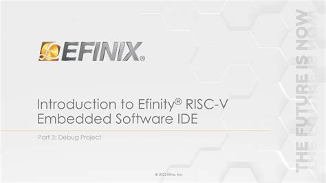 Efinity Part 3 Debug Project