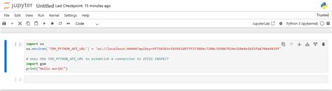 Using Jupyter Notebook — App Development Documentation