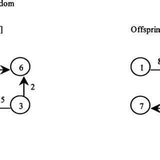 Illustration Of Inversion Mutation Download Scientific Diagram