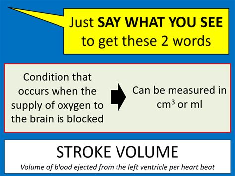 Cardiac Output Stroke Volume And Heart Rate Cie International A Level