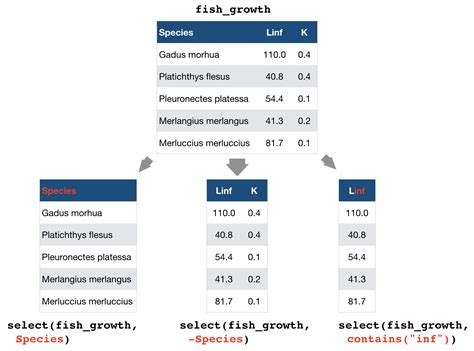 data analysis with r