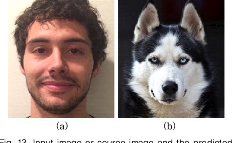 figure 13 from a new face morphing method using texture feature based