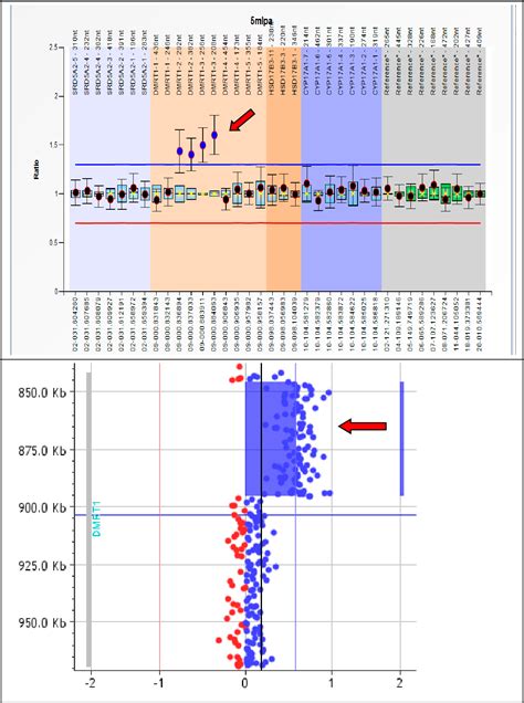 Figure 1 From In Tandem Intragenic Duplication Of Doublesex And Mab 3