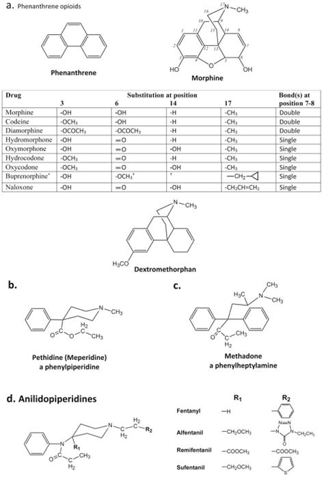 Opiates Drugs Examples