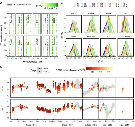 Automated Phenotyping Systems Captured The Dynamic Of Photosynthesis In Download Scientific