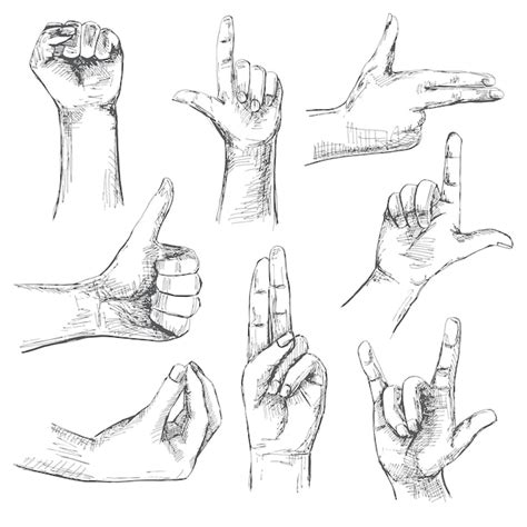 Premium Vector Set Of Different Gestures Hands Isolated On White
