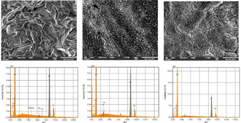 Sem Micrographs For The Samples Plated At Different Concentrations And Download Scientific