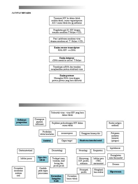 Pathway Hiv Pdf