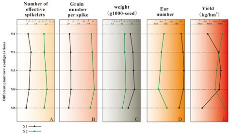 Effects Of Planting Density On Root Spatial And Temporal Distribution And Yield Of Winter Wheat