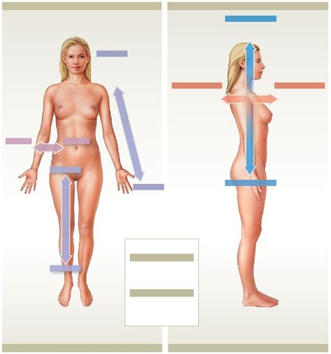 Chapter Diagram Quizlet