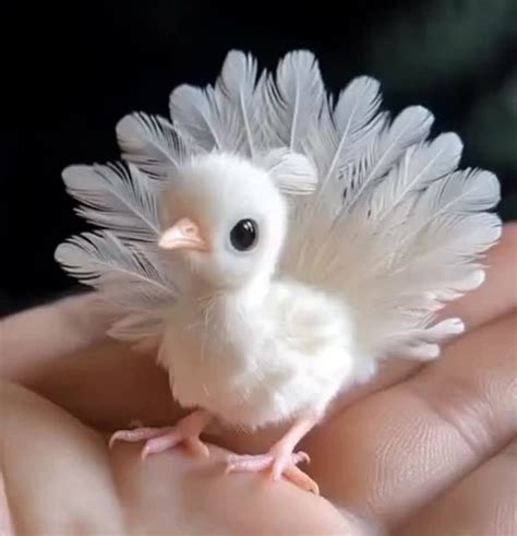 Madhuri Dadarkar On Linkedin Its Beautiful