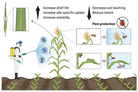 Nano Pesticides And Fertilizers Solutions For Global Food Security