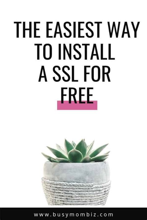 How To Install A Free SSL With Siteground Busy Mom Launch Squad