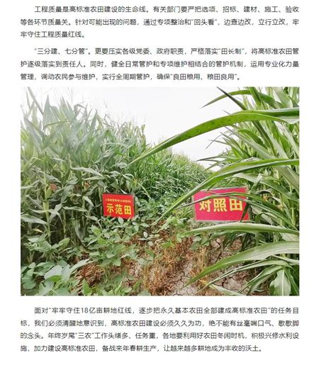 人民网评抢抓有利时机加快实施高标准农田建设 工作动态 福州市水利局