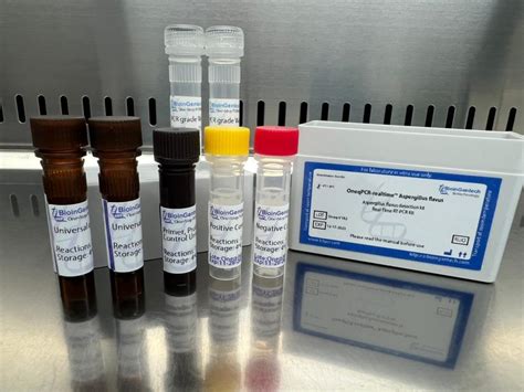 Aspergillus Flavus Detection Kits Pcr Kit