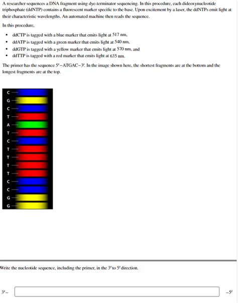 Answered Write The Nucleotide Sequence … Bartleby