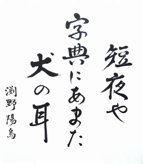 短夜 陽鳥
